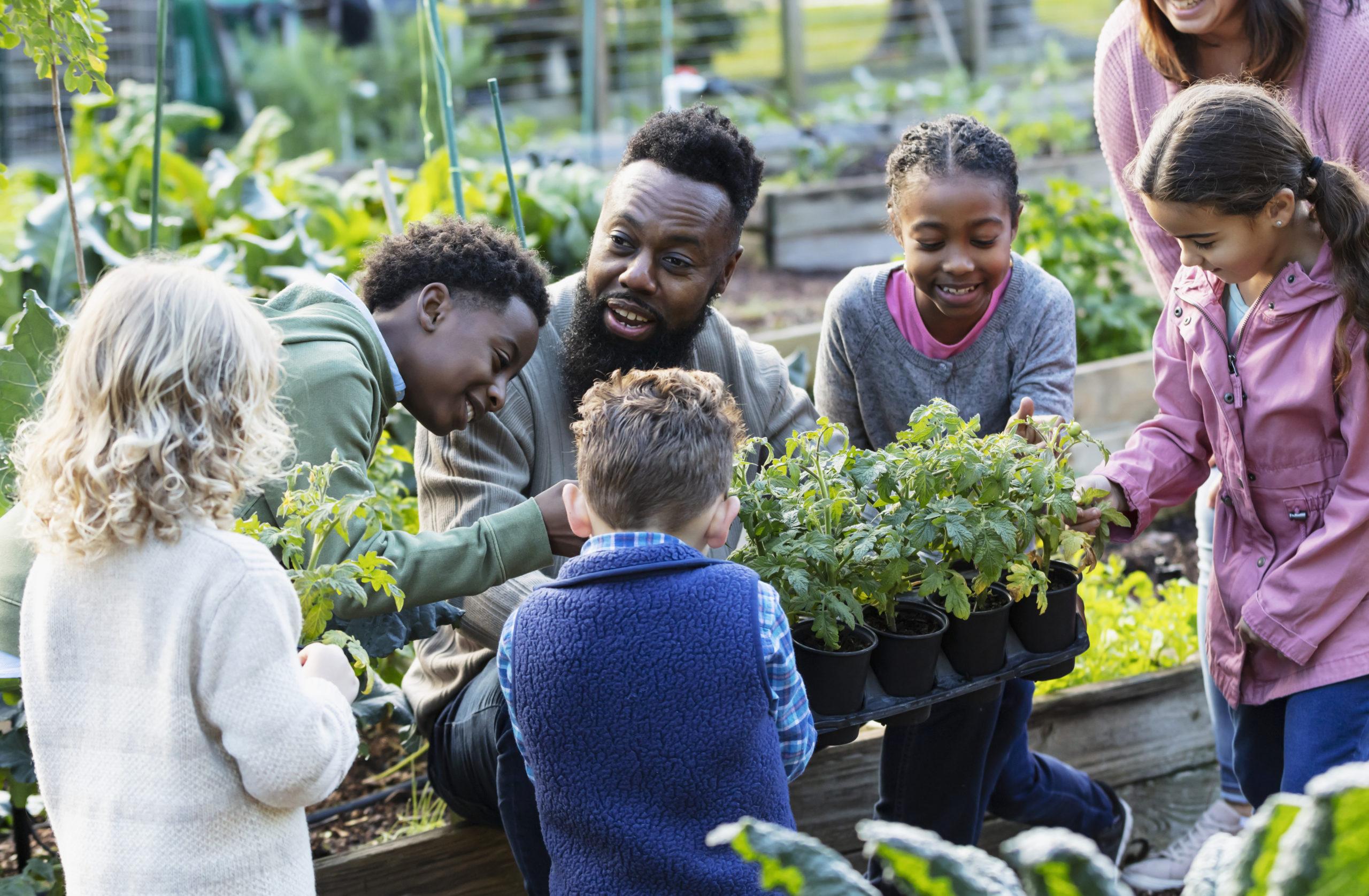 Schools and Early Childhood - Kaiser Permanente Institute for Health Policy